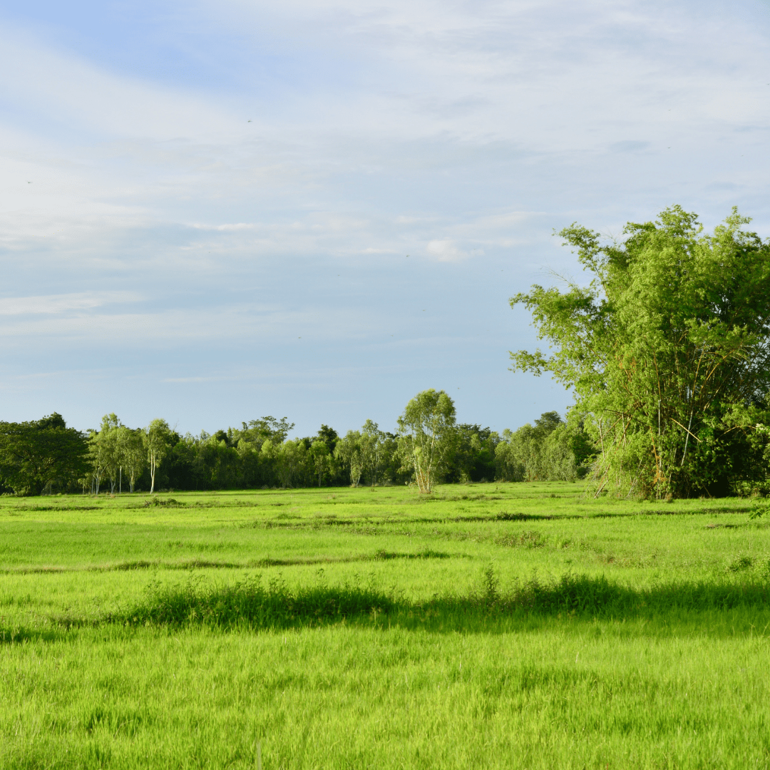 About – Pat Burke Property